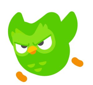 Duolingo Login: Access your account now